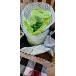 Roshen Hard Candy "Citrus Mix" Kosher and Halal, Delicious, Flavorful ...