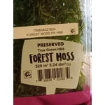 Proflora Preserved Forest Moss, True Green, 320 CU in - Walmart.com