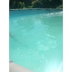 HTH Super Algae Guard 5-in-1: Algae Killer, Preventer, Pool Cleaner, 1 ...