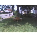 Tree Hugger Bench - Walmart.com