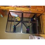 Prevue Pet Products Black Metal Feisty Ferret Home Cage 485 - Walmart.com