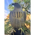 Falcon Decoy Bird Repellent Predator Flashy Reflective Eyes Owl Decoy ...