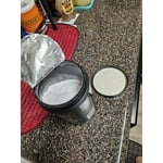 Equate Creatine Monohydrate Dietary Supplement, Unflavored, 5 g per ...