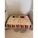 Packed Party Celebrate Sheet Cake - Walmart.com