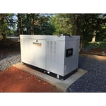 Generac 9854 HomeLink 50-Amp Indoor Pre-wired Upgradeable Manual ...