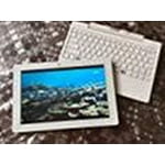 Tanoshi 2-in-1 Kids Computer a Laptop for Ages 6-12, 10.1" HD ...