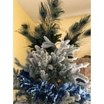 Peacock Feather Picks by Ashland - Walmart.com