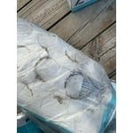 ZOA Zero Sugar Energy Drink, Tropical Punch Flavor, 16oz Per Can, 12 ...