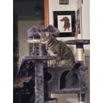 Renwick 54"H Cat Tree Tower Condo with Condos & Scratching Posts, Beige ...