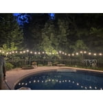 EcoScapes by Enbrighten 48' Outdoor LED Café String Lights, 24 Bulbs ...