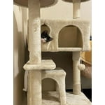 Renwick 54"H Cat Tree Tower Condo with Condos & Scratching Posts, Beige ...