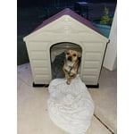 Rimax ECO Resin Dog House for Medium and Large Breeds, Taupe, 36"W ...