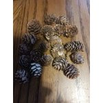 kiskick 20Pcs Mini Decorative Fake Pine Cones, Small DIY Craft for Home ...