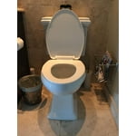 Miseno High-Efficiency Two-Piece Toilet, Santi Mno240c, High-Quality ...