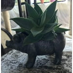 Attractive Polyresin Pig Flower Pot 18"W 10"H - Walmart.com