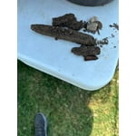 Timberline Cow Manure and Compost, Soil Conditioner, 40lb Bag, Ideal ...