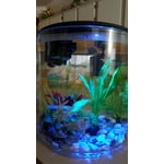 KollerCraft 3.5-Gallon Aquarium Starter Kit, Impact-Resistant Plastic ...