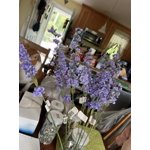 12 Pack: Lavender Wild Delphinium Spray by Ashland - Walmart.com