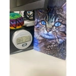 Mainstays Digital Kitchen Timer, Magnetic Countdown Count up Timer with ...