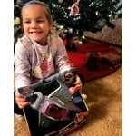 Paw Patrol Skye's Transforming Aqua Pups Manta Ray Rescue Vehicle ...