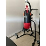 Everlast MMA Punching Boxing 2 Station Dual Heavy Duty Powder Coated ...