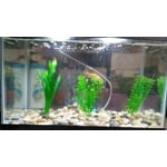 Tetra Whisper PF10 Power Filter for 5 to 10 Gallon Aquariums, Quiet 3 ...