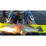 Spiderwire Ultracast Invisi-Braid Fishing Line - 30-pound 300 Yards ...