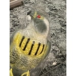Falcon Decoy Bird Repellent Predator Flashy Reflective Eyes Owl Decoy ...