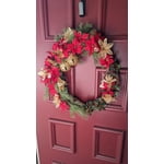 12 Pack: Green Springeri Fern Bush by Ashland - Walmart.com
