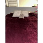 Sunbeam Twin, Full/Queen, King Velvet, 12 Heat Settings, 12-Hour Auto ...