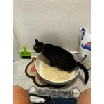 PrettyLitter Linnea Round Open Top Cat Litter Box with Non-Stick ...