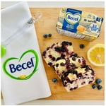 Dairy Free Becel Plant Butter Salted 454g, 454g Brick - Walmart.ca