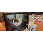 Black Shadow Box by Studio Décor® - Walmart.com