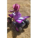 12 Volt Yamaha Raptor ATV Battery Powered Ride-on - Blue and White ...