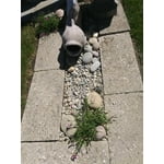 Friendly Fish Decorative Garden Downspout - 15 L x 6 W, Gutter ...