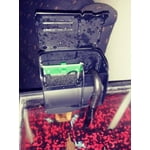 Tetra Whisper PF10 Power Filter for 5 to 10 Gallon Aquariums, Quiet 3 ...