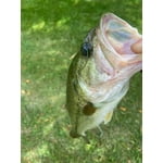 Googan Bandito Bug 4'' Watermelon Red Flake 7pk Soft Plastic Fishing ...