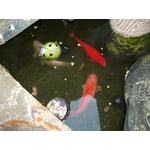 Wardley Pond Pellets Fish Food, 3 Lb - Walmart.com