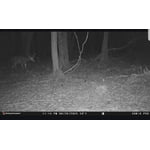 Stealth Cam Sonix Pro 2-Pack Cellular Game Camera - Samsclub.com