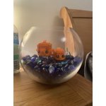 LEGO BrickHeadz Goldfish 40442 Ocean Sea Fish Building Set (186 Pieces ...