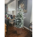 Vickerman 48" Frosted Sable Pine Artificial Christmas Tree, Clear Dura ...