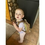 Goldbug Safety Harness Backpack with Removable Tether, Walking Harness ...