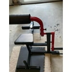 syedee Seated AB Curl, Back Extension Machine, Plate Loaded, 450lbs ...