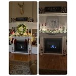 12 Pack: Green Springeri Fern Bush by Ashland® - Walmart.com