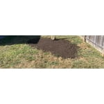 Scotts Premium Topsoil, Organic Mix Lawn and Garden Soil Conditioner, 0 ...