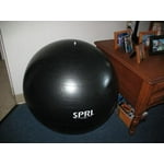 SPRI Weighted Stability Exercise Ball, 55cm, Blue - Walmart.com