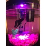KollerCraft 3.5-Gallon Aquarium Starter Kit, Impact-Resistant Plastic ...