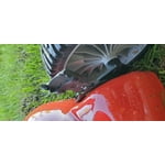 Snapper 58-Volt Cordless 21 in. 3-in-1 Push Lawn Mower (Battery ...