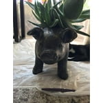 Attractive Polyresin Pig Flower Pot 18"W 10"H - Walmart.com