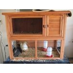 Ware Manufacturing Inc. Premium Penthouse Rabbit Hutch - Walmart.com